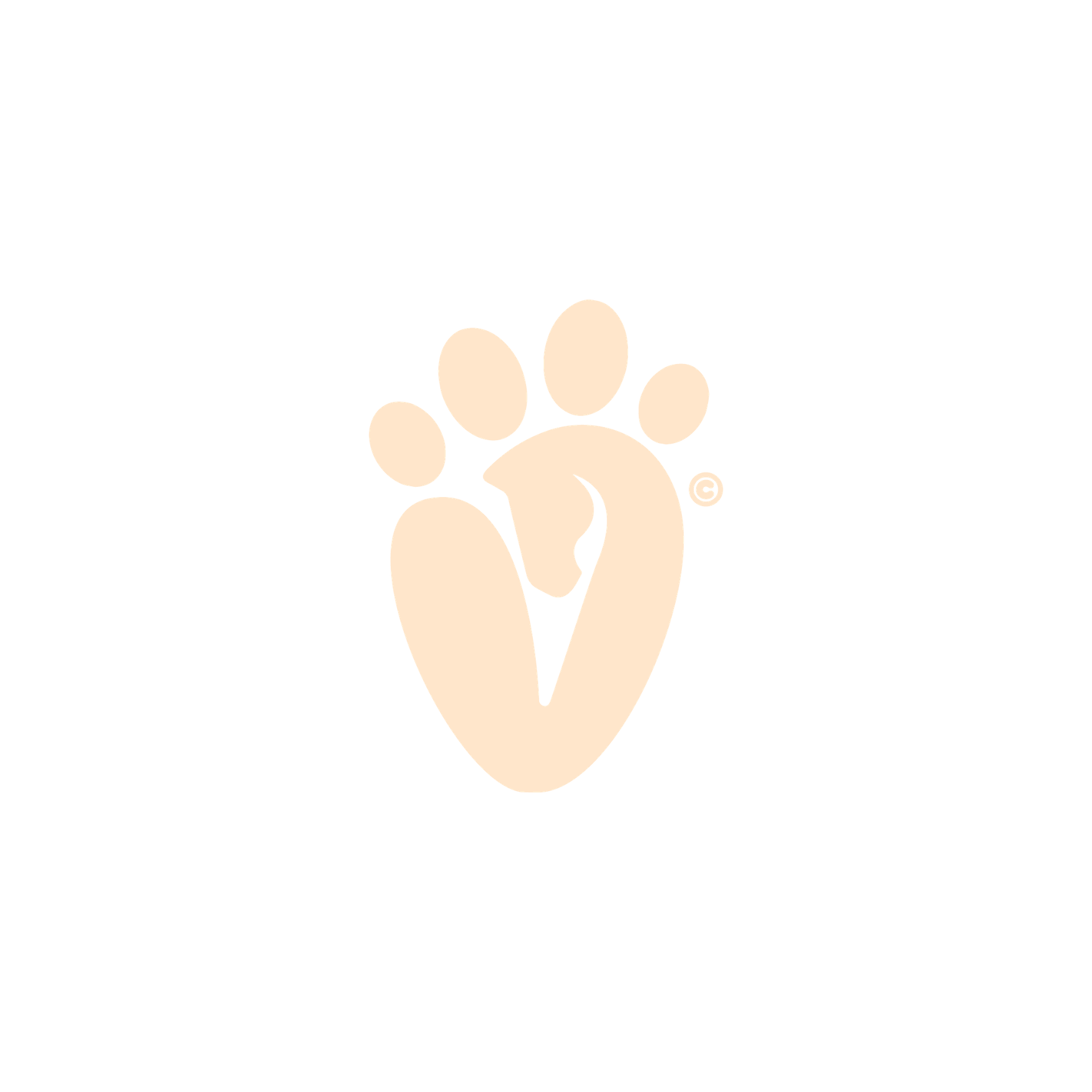 EQUIMED USA | ADENOSINE | 50 ML | Varmacy.net